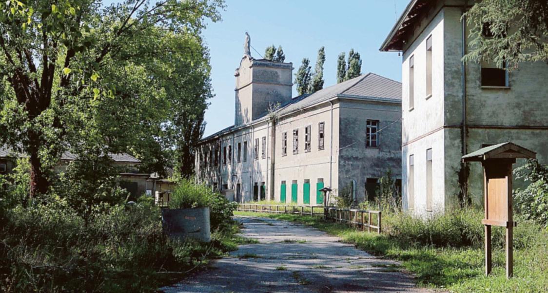 Il cinema nel parco del manicomio - La Voce di Rovigo