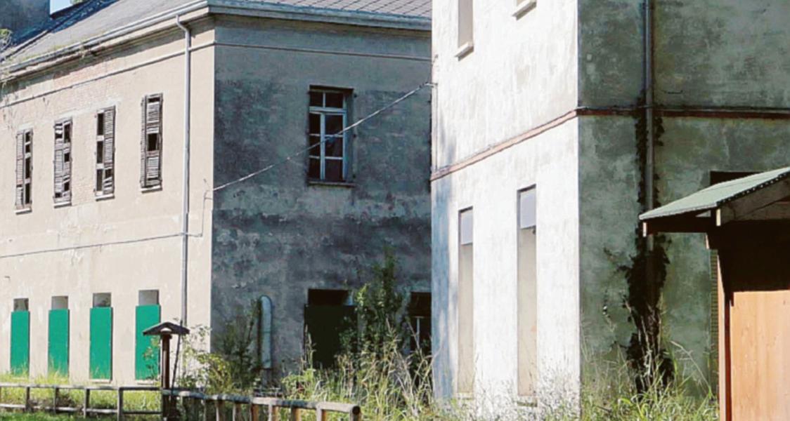 Ex manicomio: riapre il grande parco - La Voce di Rovigo