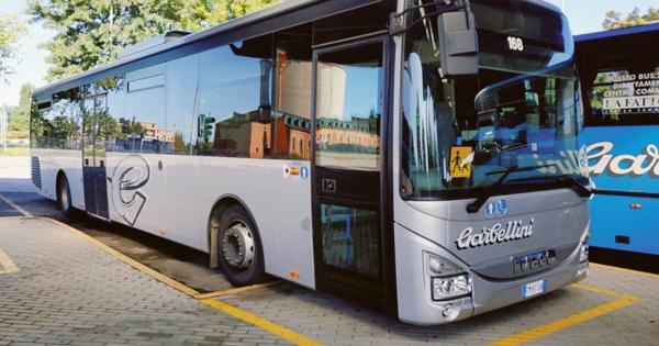 Trasporto scolastico in... sosta - La Voce di Rovigo