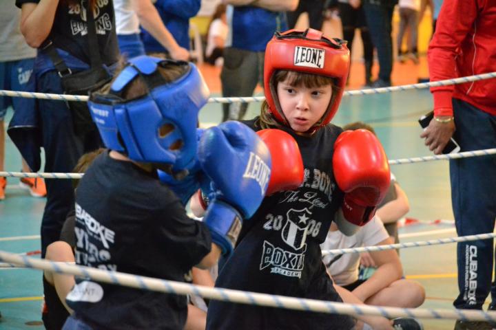 Boxe Cavarzere Chioggia prima in Veneto - Foto 1 di 15 - La Voce di Rovigo